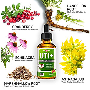 Dog UTI Treatment ✿ Cat UTI Remedy ✿ Dog Urinary Tract Infection Treatment ✿ Cat Urinary Supplement ✿ Bladder + Kidney Support for Cats & Dogs ✿ UTIs and Bladder Stones ✿ Natural Cranberry Supplement