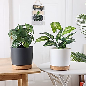 Whonline 3 Pack 8" Plant Pots Indoor, Black Plastic Flower Pots with Drainage Holes and Saucers, Modern Planters for Indoor Plants, Succulents, Flowers, Outdoor Clearance