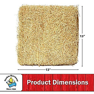 Cackle Hatchery Laying Hen Nest Box Pads - 13" x 13" (6 Pack)