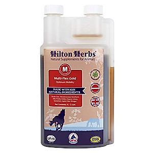 Hilton Herbs Multiflex Gold Liquid Joint & Muscle Supplement for Horses, 2.1pt Bottle