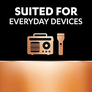 Duracell Alkaline D Batteries 2 Count