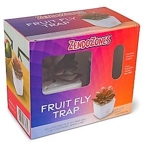 ZendoZones Fruit Fly Traps with Zendo Lure, 2-Pack Mellow Molly & Serene Sandy with Plastic White Base, Refillable and Reusable