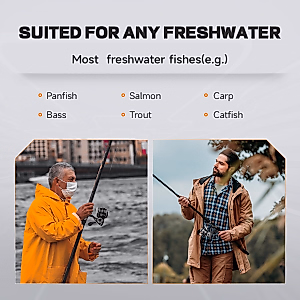 Divmystery Spinning Reel with 9+1 BB | Basic Series, Reinforced Durable Composite Frame, Lightweight & Ultra Smooth, 1000/2000/3000/4000/5000 Size | Fishing Reels for Freshwater