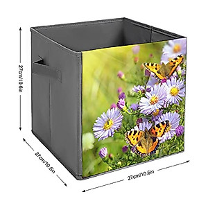 Pansies and Butterfly Collapsible Storage Bins Basics Folding Fabric Storage Cubes Organizer Boxes with Handles