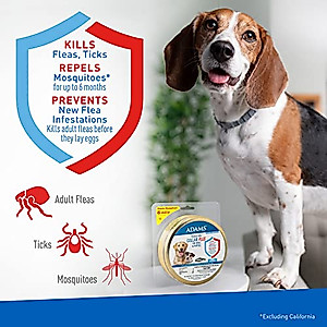 Adams Flea & Tick Collar Plus for Dogs & Puppies |2 Pack |12-Month Protection |One Size Fits All Dogs & Puppies 12 Weeks and Older |Kills Fleas and Ticks |Repels Mosquitoes (excluding California)