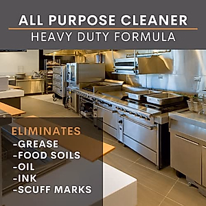 Spitfire 100870948 RTU Power Cleaner, Heavy Duty Degreaser for Shops & Kitchens, Pine Scent, Ready-to-Use Refill, 1-Gallon