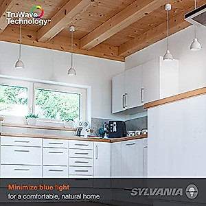 SYLVANIA LED TruWave Natural Series Ceiling Fan / Fixture Light Bulb, 40W A15 Daylight, Dimmable, Frosted - 2 Pack