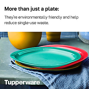 Tupperware Brand Microwave Reheatable Luncheon Plates - Dishwasher & Microwave Safe - BPA Free - Reusable, Lightweight, Durable & Great for Kids