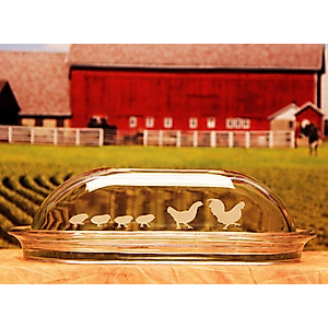 Armour Etch 15-0200 Etching Cream, White, 10