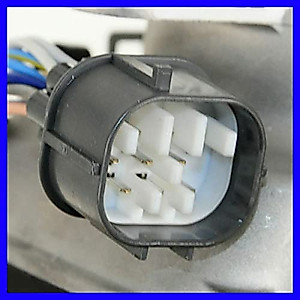 South Mud Bay Ignition Distributor Compatible with EX LX 2.0L IGN00210