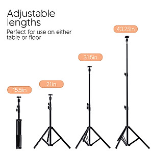 TALK WORKS 10" Selfie Ring Light Compatible w/iPhone 14/Plus/Pro/Max, 13/Mini/Pro/Max, 12/Mini/Pro/Max - Halo LED Circle Phone Holder Tripod Stand for Tiktok, Live Stream, Video Recording (Black)