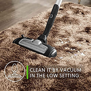 Vocrite Shag Rug for Bedroom, 4'x6' Fluffy Rectangluar Brown Shaggy Living Room Area Rugs, Non-Slip Plush Furry Fuzzy Faux Fur Carpet, Cozy Soft Throw Rug for Classroom Boys&GirlsNursery Dorm