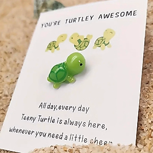 Crazyview Mini Pocket Hug Turtle, You're Turtley Awesome Inspirational Gift with Card, Thank You Note Cards Greeting Card Mini Sea Turtle Figure Pocket Hug Gift for Friends and Family