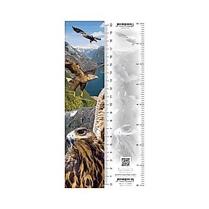 Spectacular 3D bookmark - BIRDS OF PREY