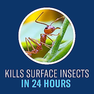 Bayer Crop #700288A 10LB Insect Killer/Lawn