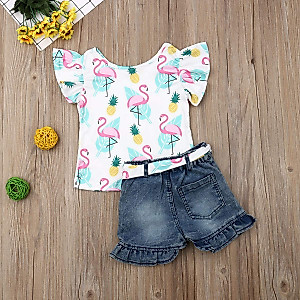 2Pcs/Set Fashion Toddler Kids Baby Girl Boy Summer Outfits Sleeveless Tassel T-Shirt Top+Floral Shorts Clothes Set 6M-5T (Flamingo, 4-5 Years)