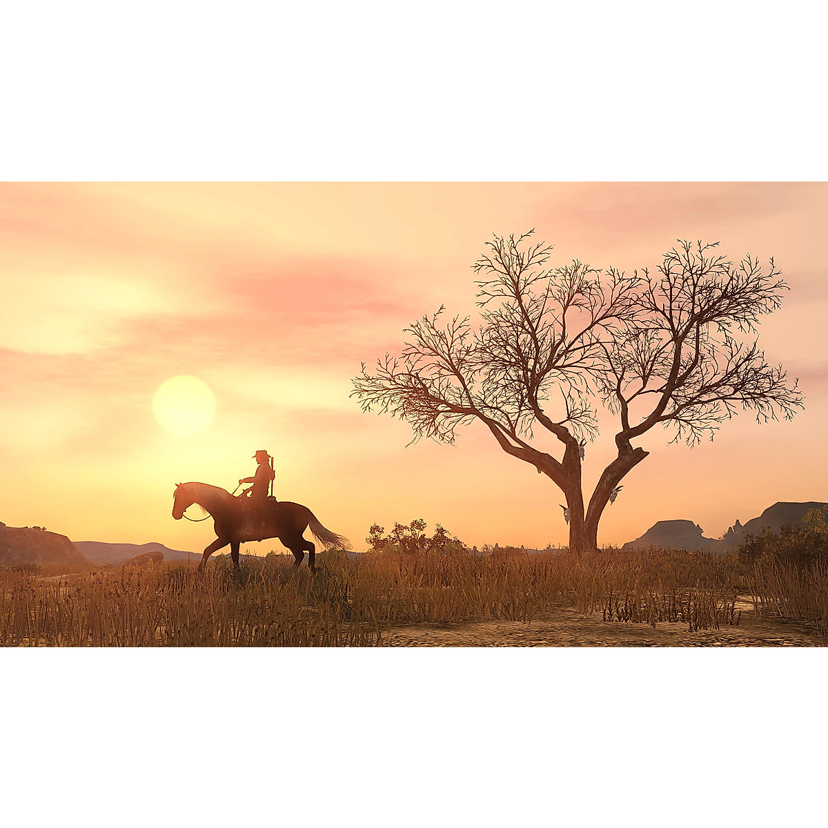Red Dead Redemption - PlayStation 4