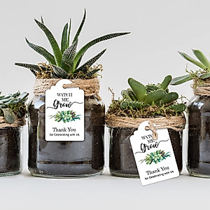 Watch Me Grow Tags for Baby Shower Succulents, Baby Shower Thank You Tags, Baby Shower Favor Tags, 1.7 x 2.8 Inch, 50 Pack with Golden Ribbon.