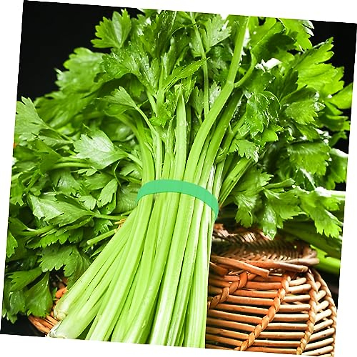 Outanaya 12pcs strap on bag tying tape DIY tying tape packaging bag tapes bag sealing tying tapes convenient tying tape strapping packing bag adhesive tape Multifunction Sealing tape bopp