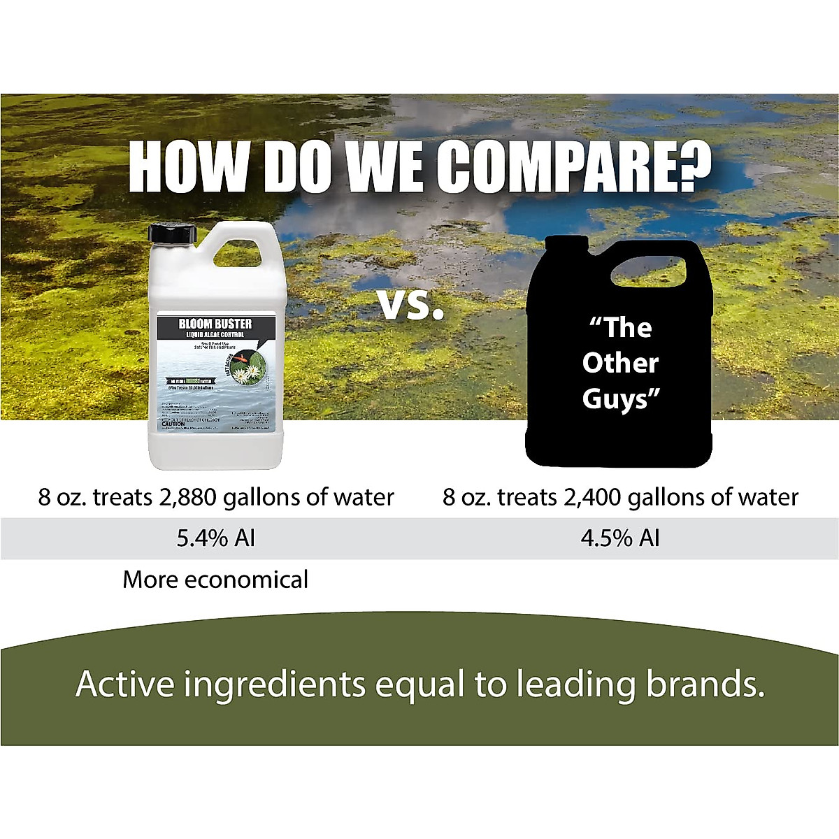 Bloom Buster Pond Algae Control - 64oz - Fast Acting Algaecide, Use in Fountains & Outdoor Ponds Containing Koi & Other Fish - EPA Registered