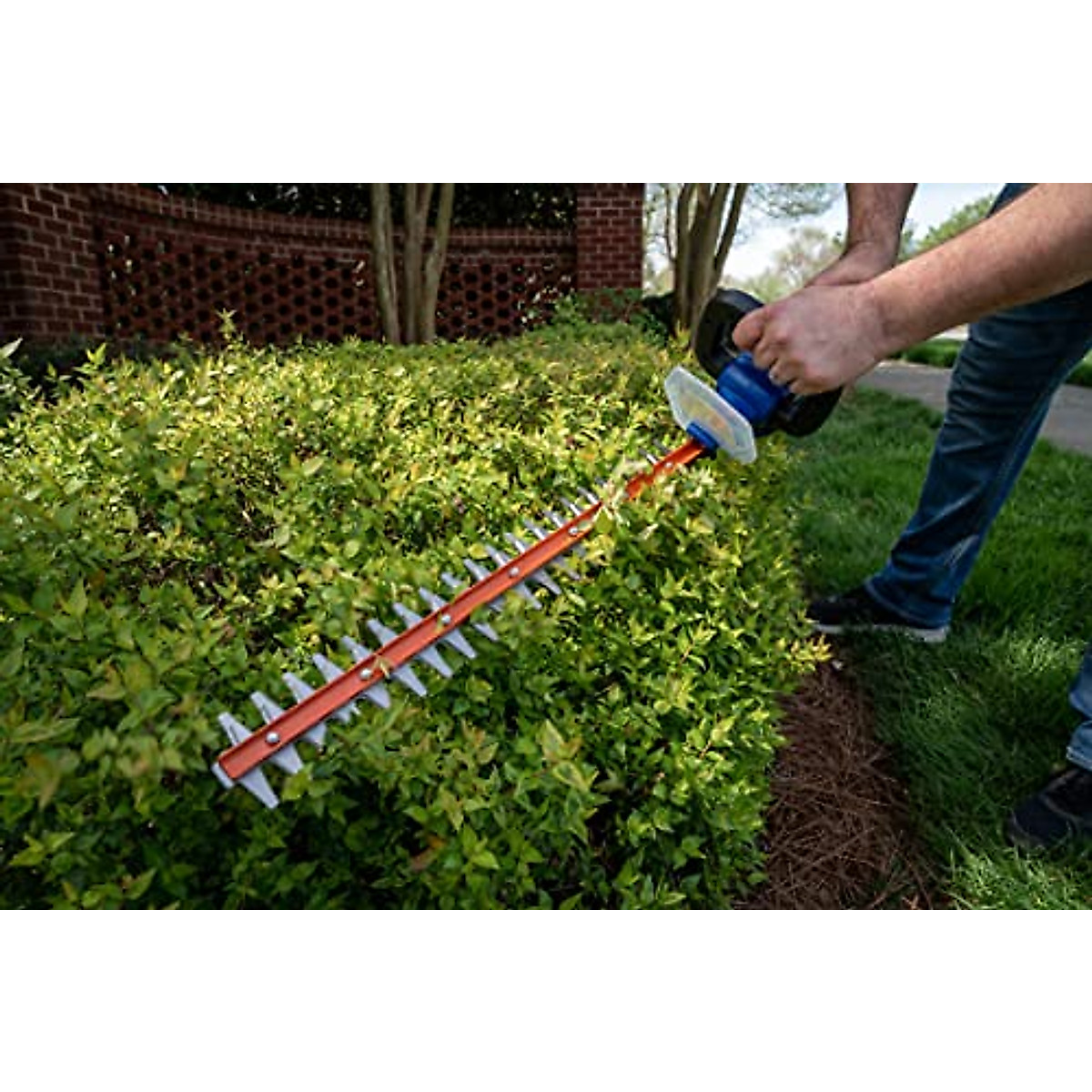 Wild Badger Power Cordless 22-inch Hedge Trimmer, 20 Volt, Tool Only