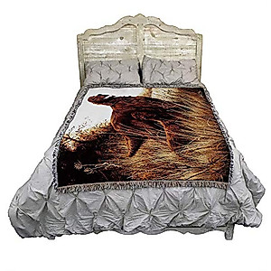 Pure Country Weavers Irish Setter Blanket by Robert May - Gift for Dog Lovers - Tapestry Throw Woven from Cotton - Made in The USA (72x54)