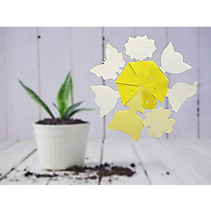 14 Sticky Fruit Fly Trap Yellow Insect Bug Fungus Gnat Double Side Killer for Indoor Outdoor Plants