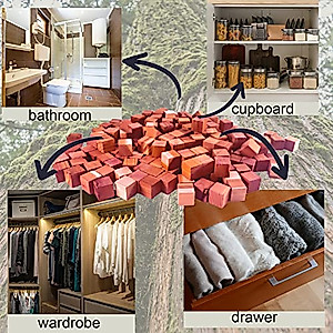 Cedar Blocks for Clothes Storage SHIRSOON 200pcs Cedar Smooth Cubes+20pcs Satin Bags for DIY Cedar Sachets,100% Aromatic Red Cedar Wood Accessories for Closets Storage