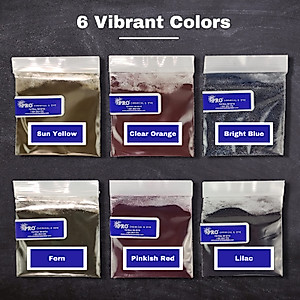 PRO Chemical Disc Golf Dye Starter Kit | Personalize Your Discs However You Want | Perfect for Beginners to Disc Dyeing | Stand Out from The Crowd | Pro Chem Disc Golf Dye Powder | 6