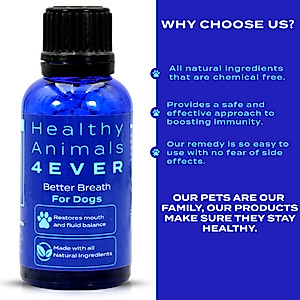 HealthyAnimals4Ever Bad Breath for Dogs Pellets - Dissolvable - No Brushing - for Clean Teeth, Plaque & Tartar Control - All-Natural, Non-GMO, Organic - Preservative & Chemical Free - 300 ct