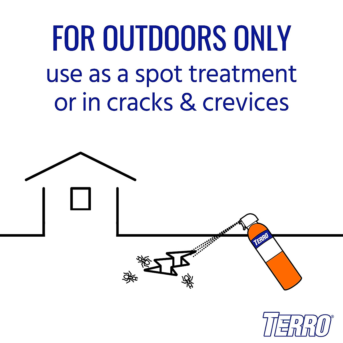 TERRO T1700 19 oz. Outdoor Ant Killer Spray, 1 Pack, Orange