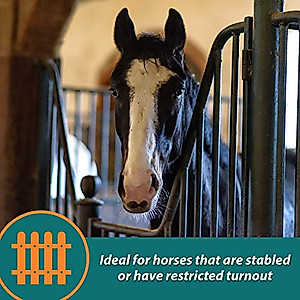 Farnam Cough Free Horse Cough Supplement Pellets, Provides Respiratory Support for Horses with Seasonal Allergies or Stable Cough, 2.5 pounds, 70 Day Supply