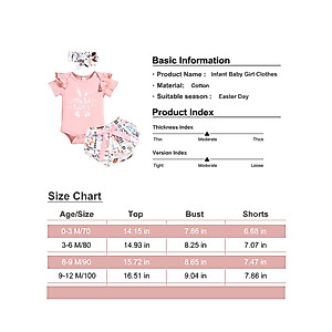 My 1st Easter Outfit Newborn Baby Girl Bunny Letters Romper Ruffle Floral Shorts set (Pink, 0-3 Months)
