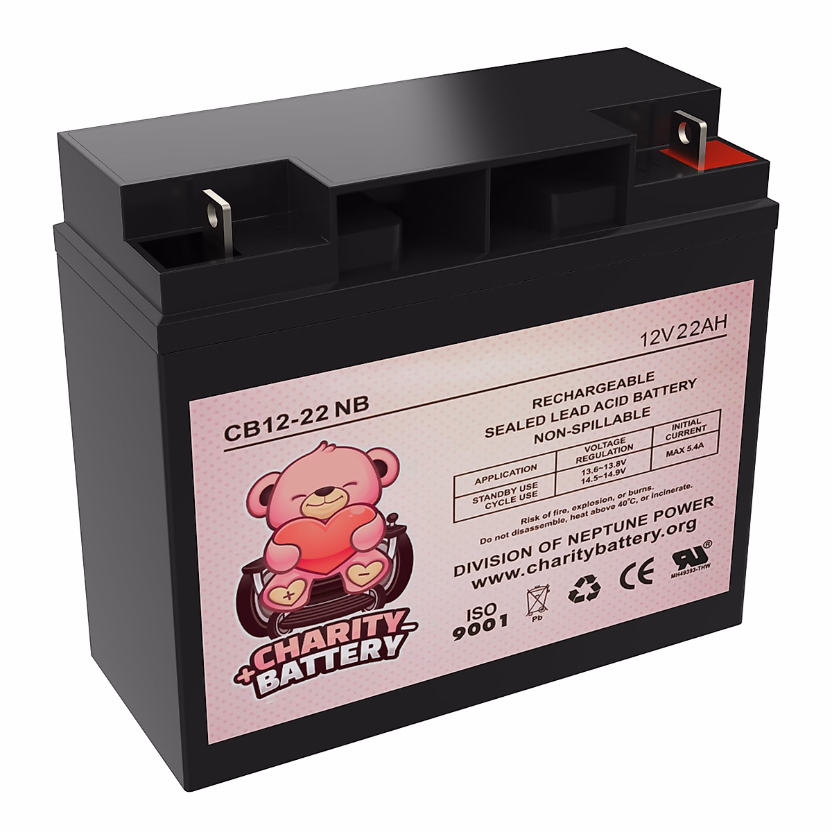 Charity Battery CB12-22 - 12V 22Ah CB19-12 SLA AGM Rechargeable Deep Cycle Replacement Battery