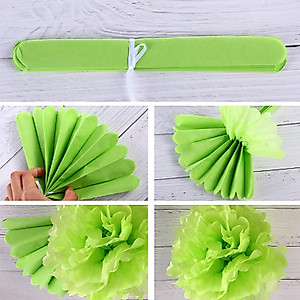 AimtoHome Party Tissue Paper Pom Poms 20 Pcs Tissue Paper Flowers Decorations for Birthday , Wedding, Bachelorette, Bridal Shower, Graduations, Baby Shower Decor (Rose Gold,Dusty Pink, Coral, Cream)