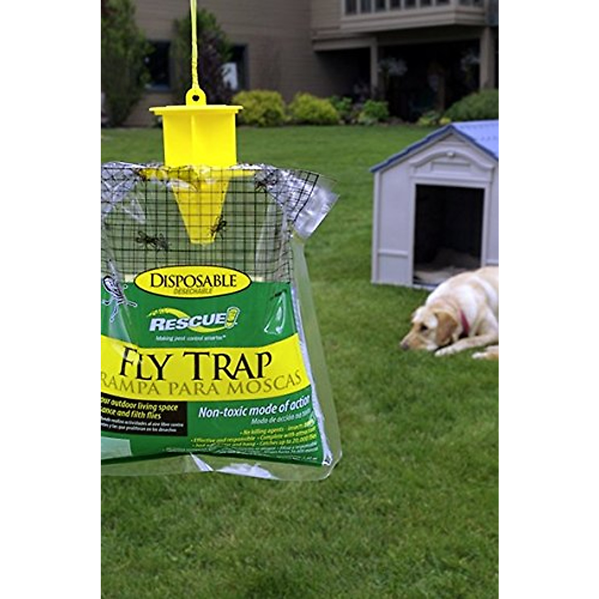 Sterling Rescue FTD-DB12 Disposable Fly Trap - Quantity 10