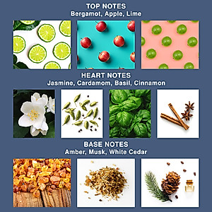 FILA Black - Invigorating and Spicy EDT Fragrance and Body Spray for Him - Extra Strength, Long Lasting Scent Payoff - Trendy, Rectangular, Streamlined, Portable Bottle Design - 2 pc Gift Set