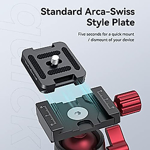 SmallRig Tripod for iPhone Desktop Mini Tripod - Aluminum Alloy 20 inches/ 50 cm with 360 Degree Ball Head, 1/4 inch Quick Shoe Plate for Vlogging DSLR Camera Video, Load up to 11 pounds-3033