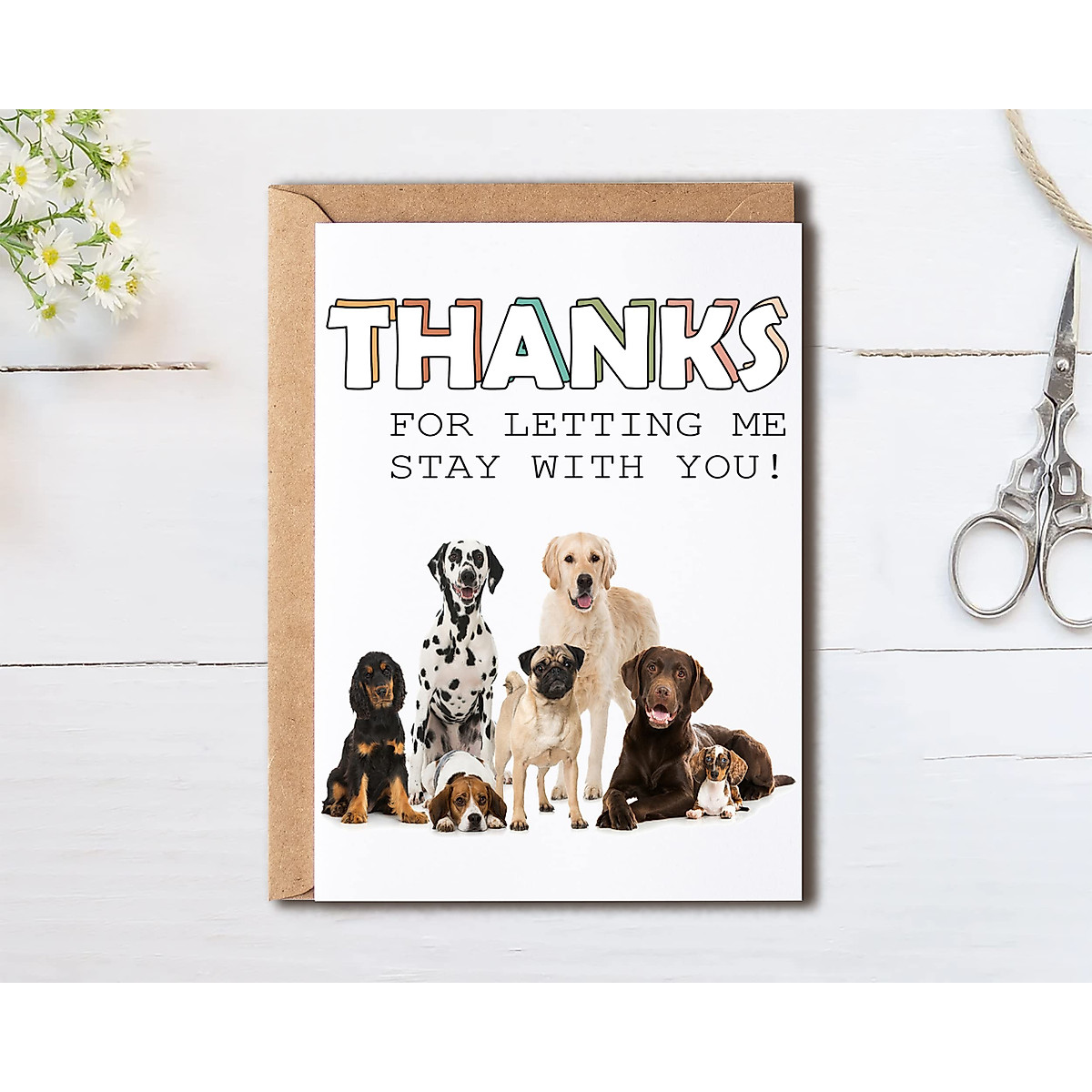 Thanks For Letting Me Stay With You - Dog Sitter Gift - Card From Dog - Dog Thank You Card - Gift For Pet Sitter - Dog Lover Gift Card, 5 x 7 inches