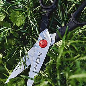 Henckels Kitchen Shears, Multi-Purpose, Dishwasher Safe, Heavy Duty, Stainless Steel 8 Inch (Pack of 1)