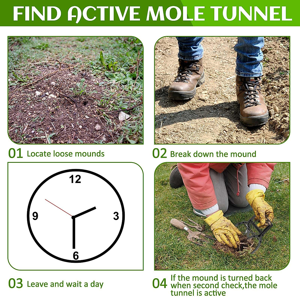 Qualirey 2 Pcs Mole Traps Vole Mole Traps Galvanized Steel Mole Scissor Trap Outdoor Easy to Set Black Eliminator Trap Mole Killer Gopher Trap for Home Farmhouse Lawn Field Outdoor Garden Yard Vole