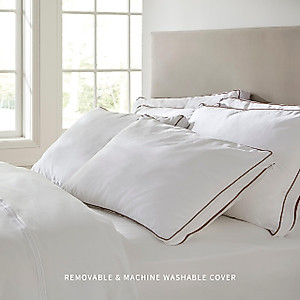 Saatva Latex Pillow - High Loft (6" - 7”) - Hypoallergenic Pillow with Shredded Latex Core - Breathable - Machine Washable Organic Cotton Cover - Queen (28"x16") 1 Pack