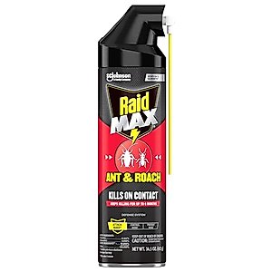 Raid Max Ant and Roach Spray (14.5 OZ,Pack - 1)