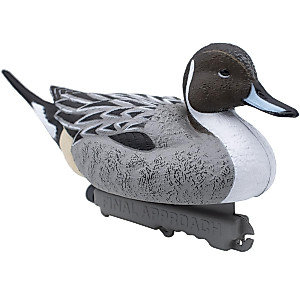 Final Approach Last Pass Floating Pintail Decoy, 12 Pack