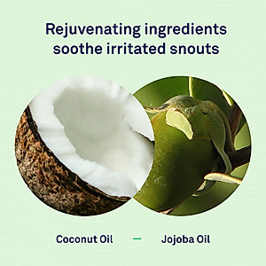 Petpost | Snout Balm for Dogs - Nourishing Snout Soother Balm Heals Dry Dog Noses with Moisturizing Ingredients - Organic Coconut Oil, Jojoba Oil, and Shea Butter 0.64 oz.