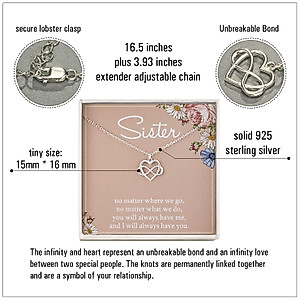 RareLove Sister Gifts from Sisters,925 Sterling Silver Tiny Infinity Heart Necklaces for Women,Birthday Jewelry Gift Necklaces for Sisters,Mothers Day Christmas Gifts