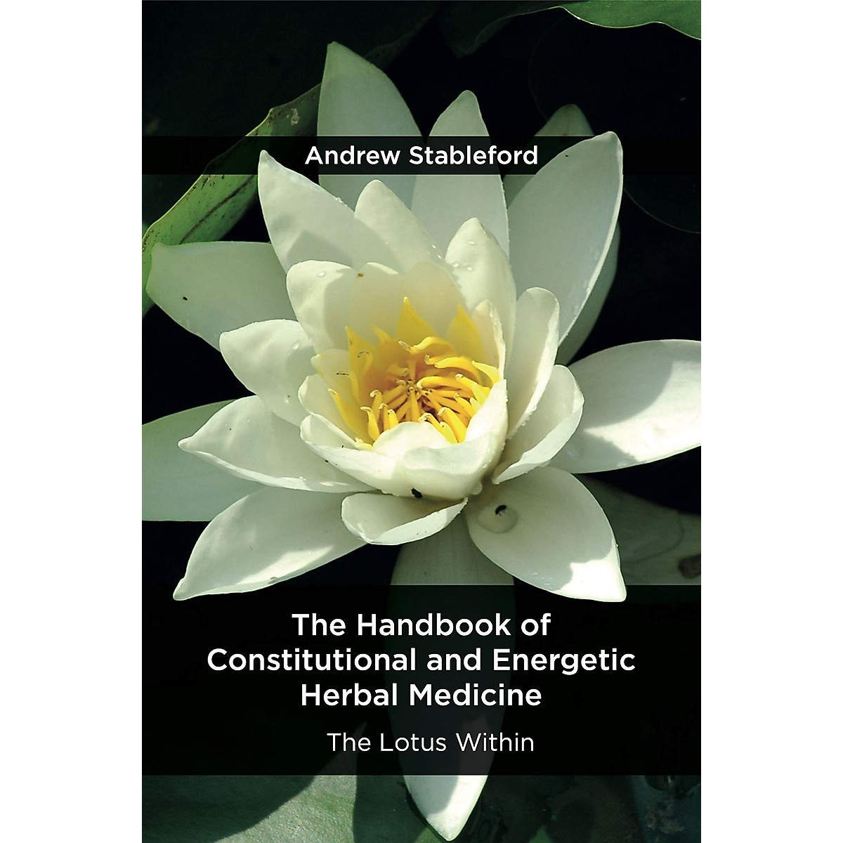 The Handbook of Constitutional and Energetic Herbal Medicine: The Lotus Within