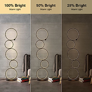 LITEPEER LED Floor Lamp for Living Room, Modern Ring Tall Lamp, Unique Touch Control Standing Lamp, 3 Way Dimmable Stand Light, 39 Inches 24W for Bedroom, Reading, Office, Home, Decorations,(Black)