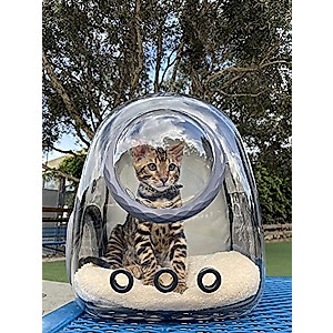 Bubble Cat Carrier Backpack, Transparent Pet Carrier Backpack for Small Puppy and Bunny, Space Capsule Bubble Cat Backpack Carrier, Airline Approved Waterproof Green Pet Backpack for Small Dog
