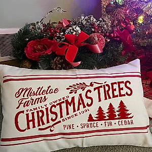 12 Pcs Christmas Stencils for Painting on Wood Porch Sign, Large Believe Merry Christmas Stencil Holiday Nativity Painting Stencils for Wood Sign DIY Crafts Canvas Fabrics (12pcs Porch christmas)